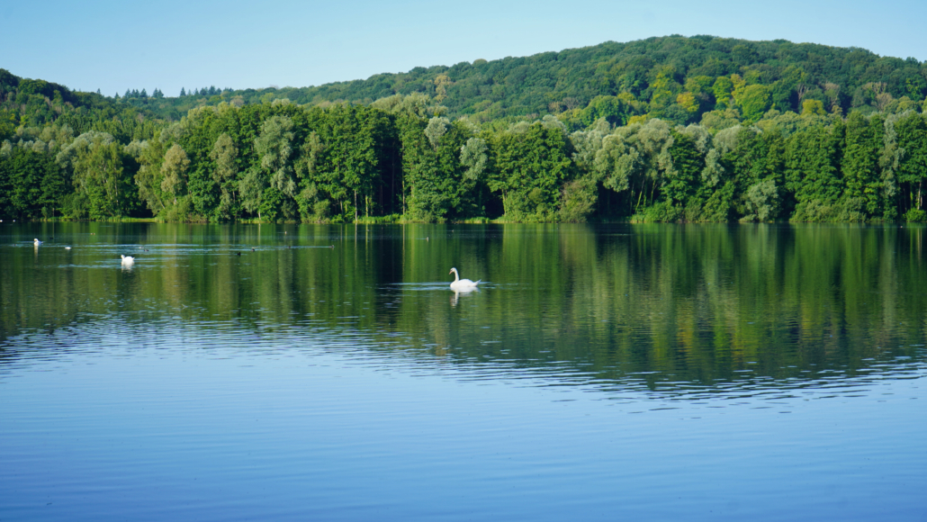 Les lieux de pêche - Office de tourisme Aumale blangy sur bresle