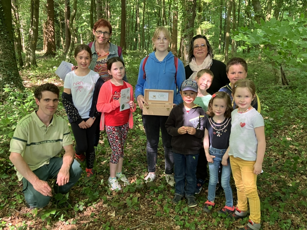 Chasse au trésor en forêt d'Eu - 2023 - Office de tourisme Aumale ...