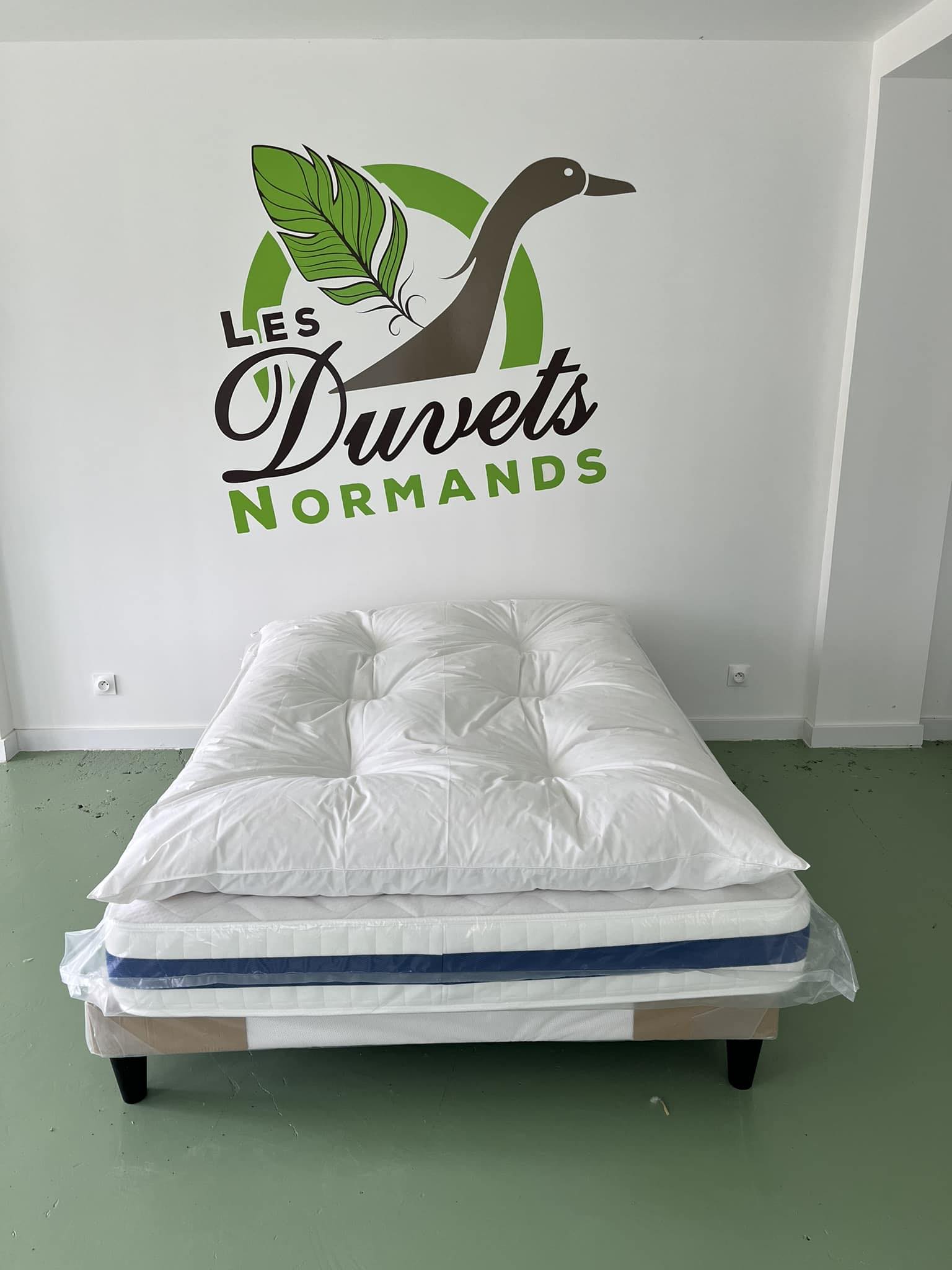 Les duvets Normands - Office de tourisme Aumale blangy sur bresle