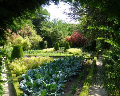 Découvrez le jardin de Digeon - Office de tourisme Aumale blangy sur bresle